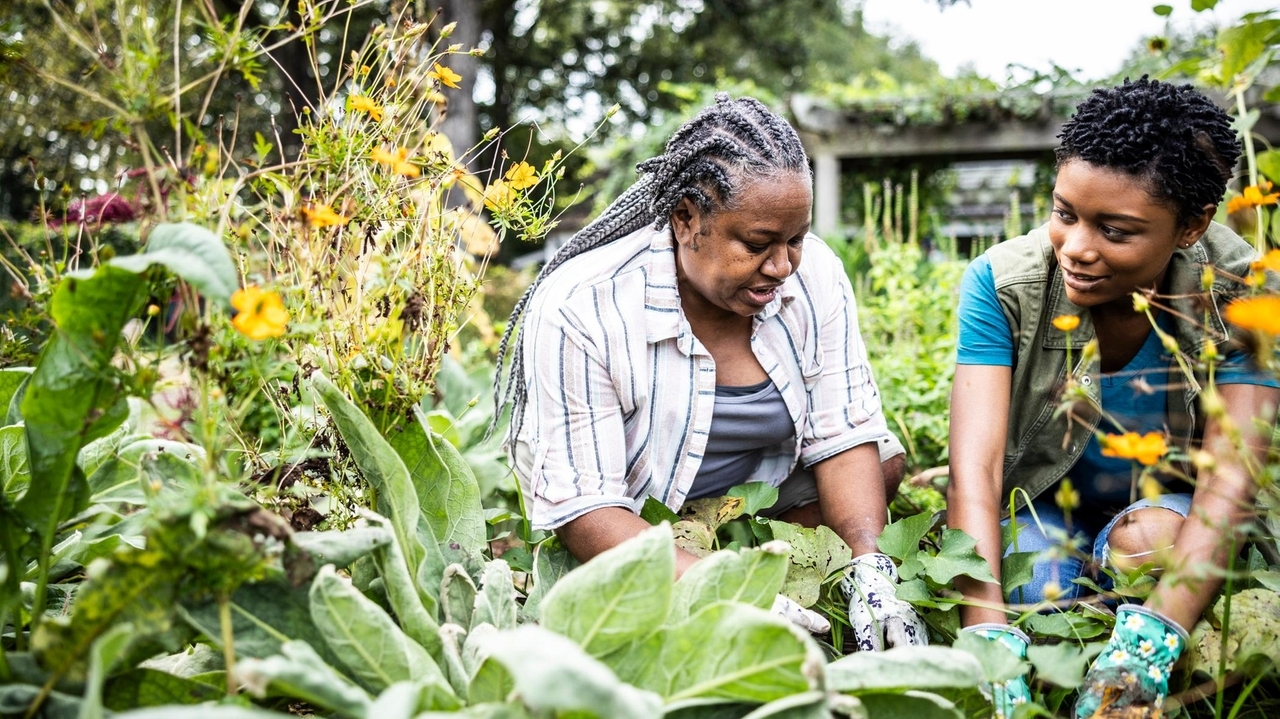 What volunteering can do for you - Newsday