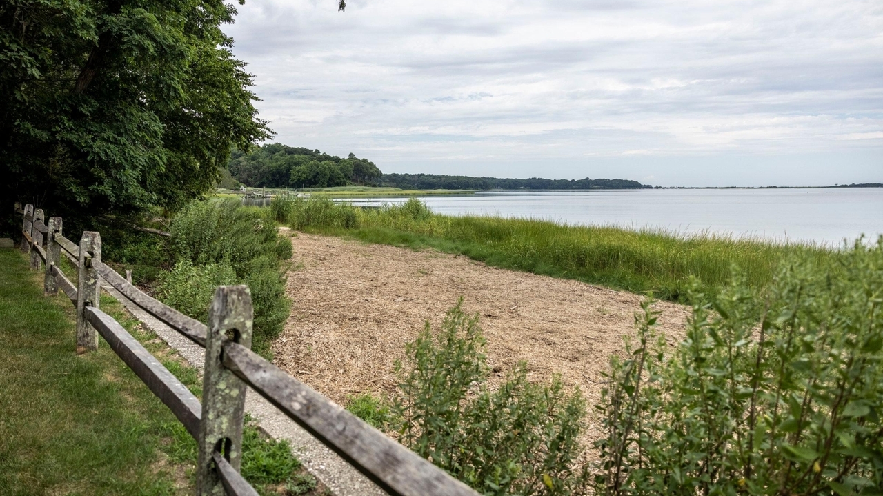 Nissequogue board delays decision on resident Andrew Georgakopoulos ...