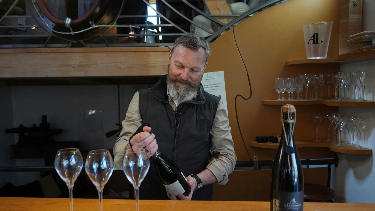 Trump's 200% tariff threat would be 'a real disaster' for Europe's wine ...