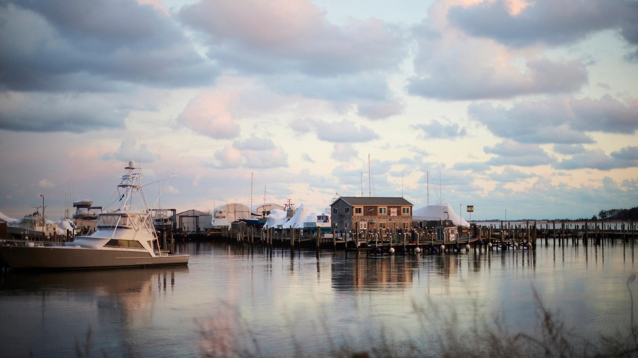 Hamptons, Fire Island are the hot spots in three summer novels - Newsday