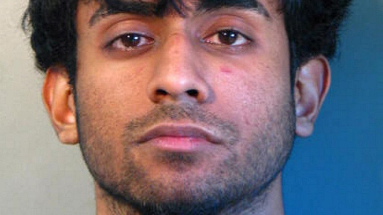 Man choked, stabbed brother over barking dogs, prosecutors say - Newsday