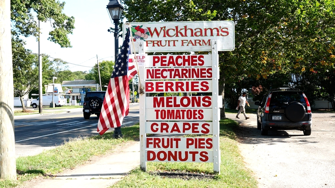 Out East with Doug Geed: Wickham's Fruit Farm - Newsday