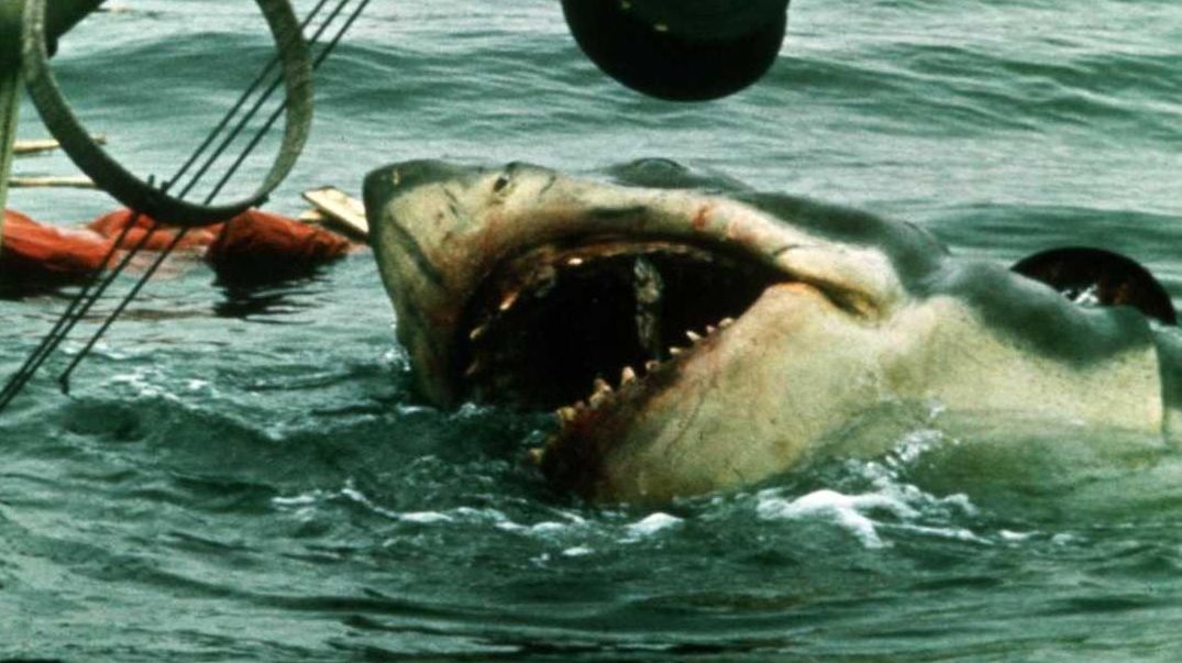 How 'Jaws' changed the direction of movie culture - Newsday