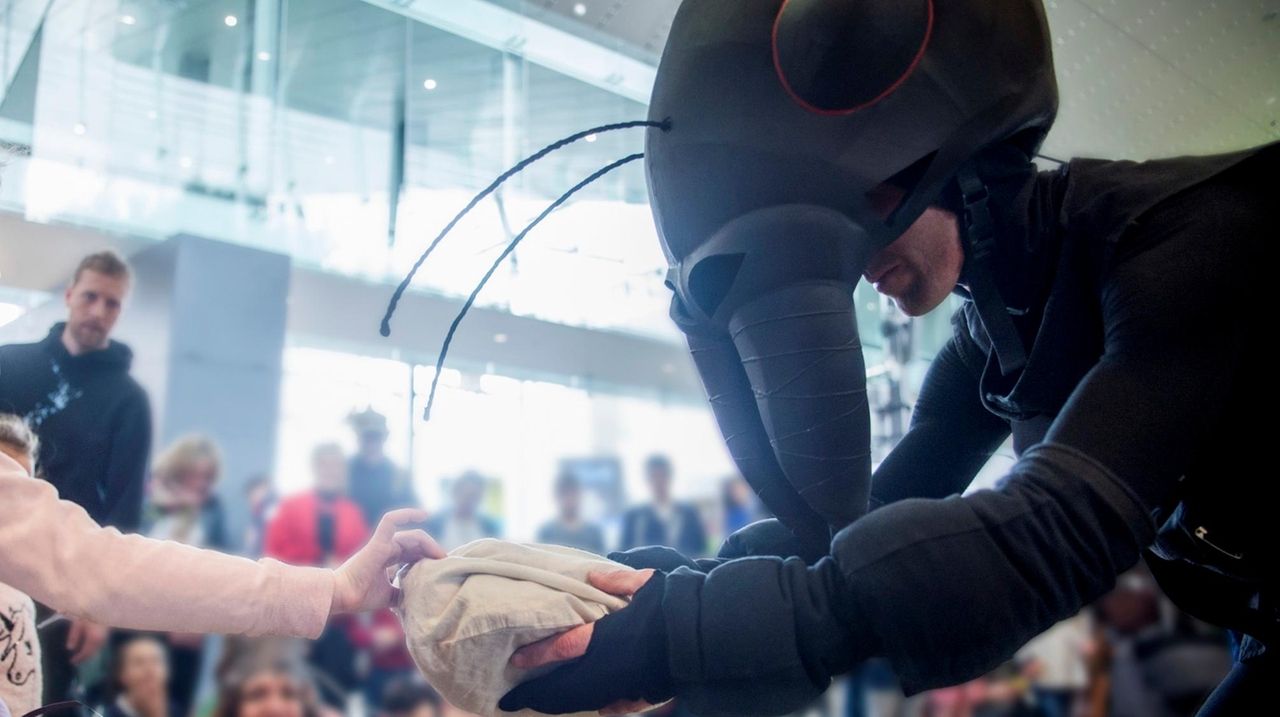 'Ants' invade the Long Island Children's Museum - Newsday