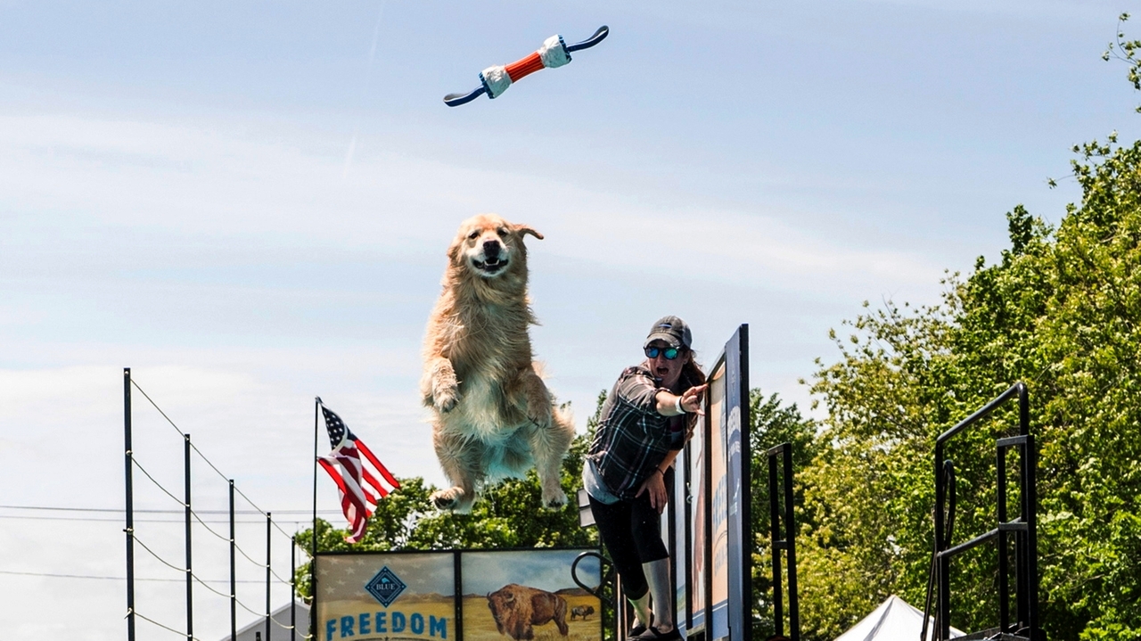 June events and things to do this weekend on Long Island - Newsday