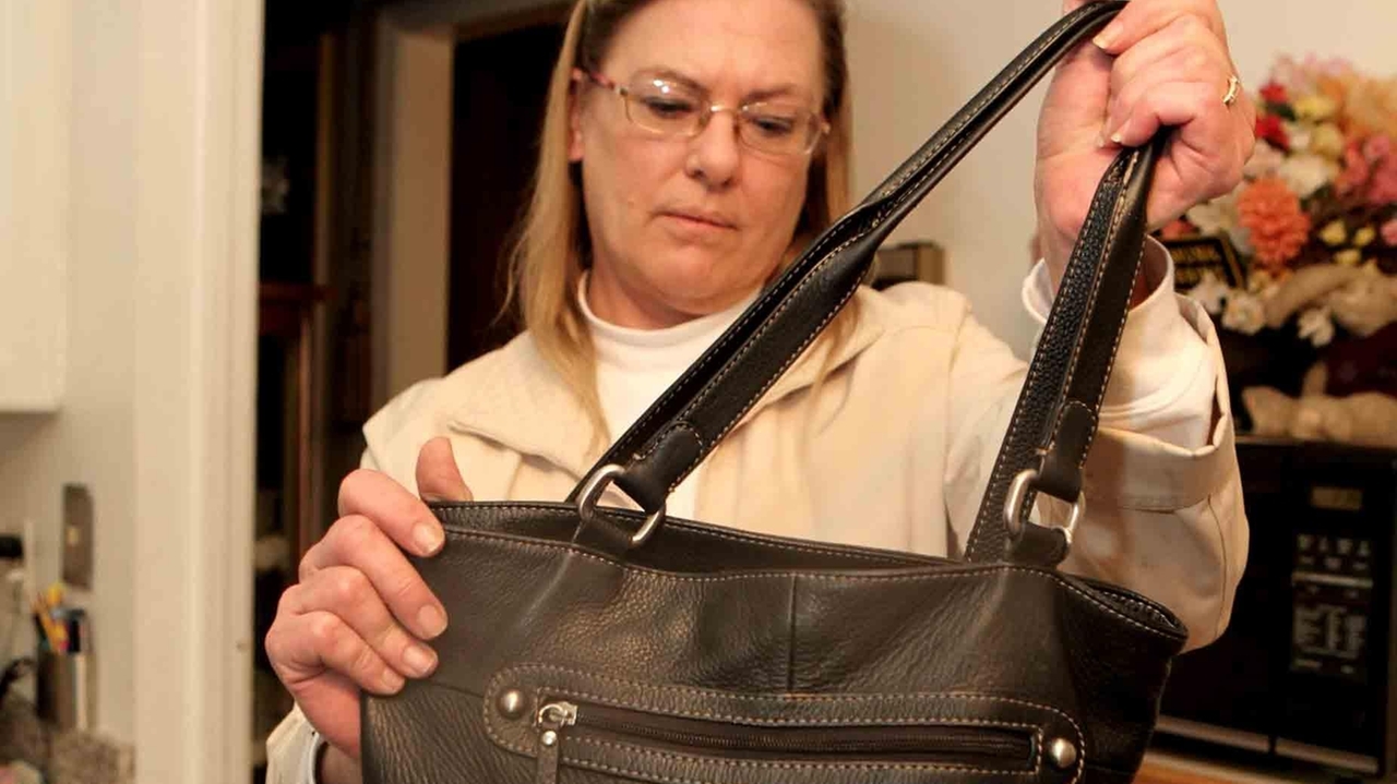 Cops: Serial purse-snatchers scoping out LI victims - Newsday