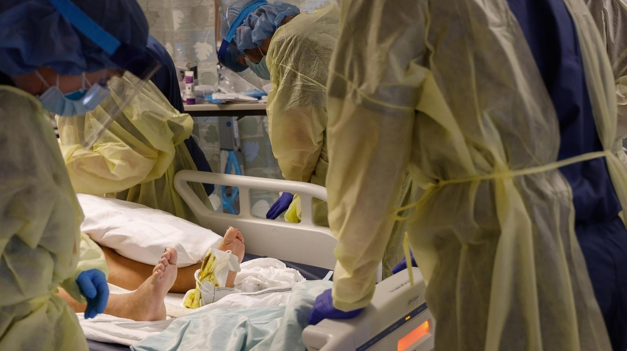 Honoring our pandemic heroes - Newsday
