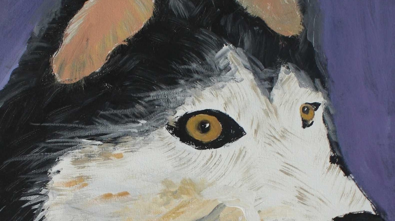 Bideawee art contest aims to promote pet adoption - Newsday
