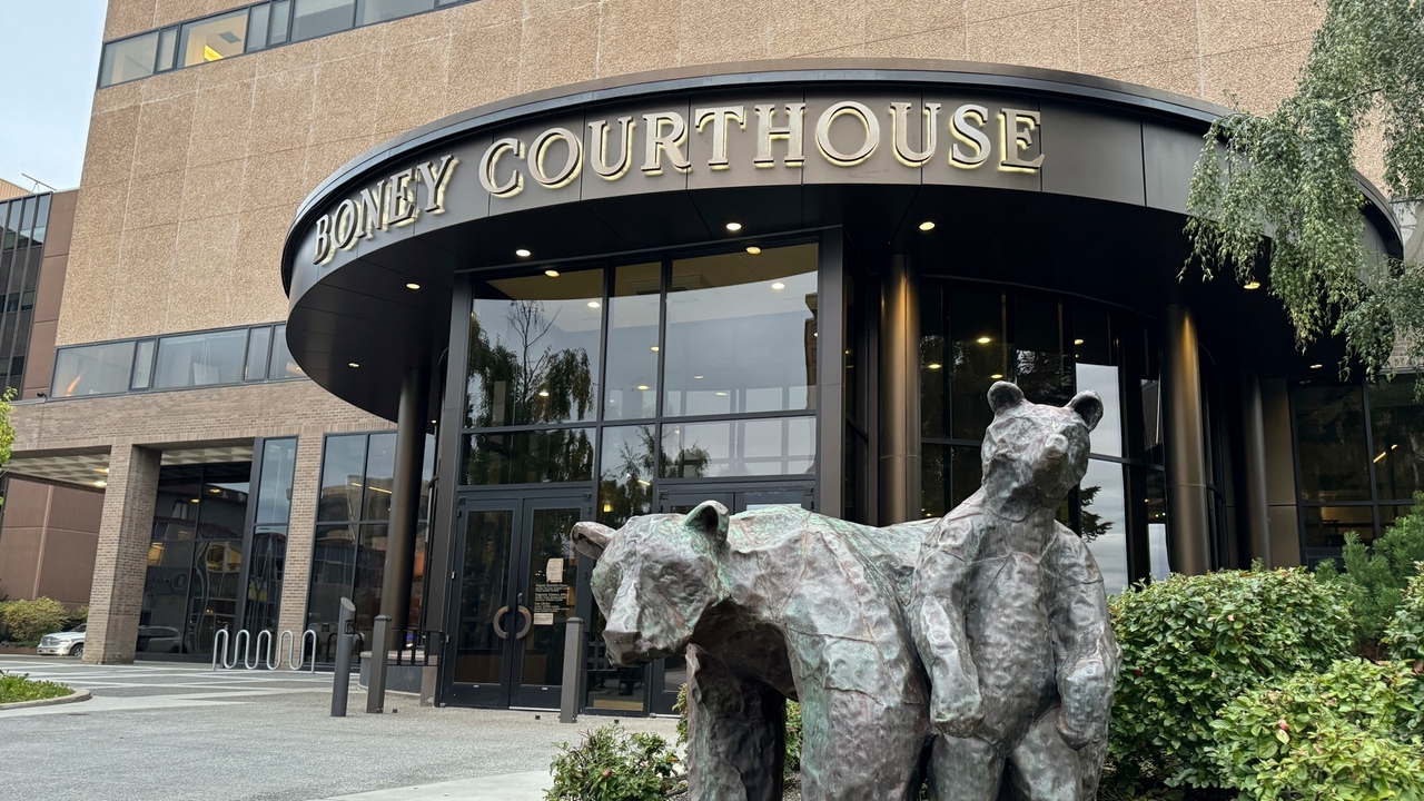 Alaska high court lets man serving a 20-year sentence remain in US ...