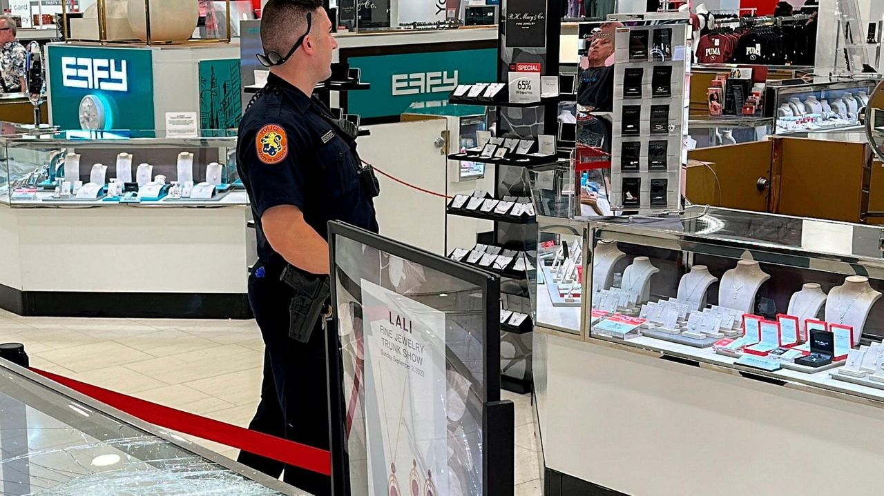 New York State lawmakers looking to crack down on 'organized retail ...