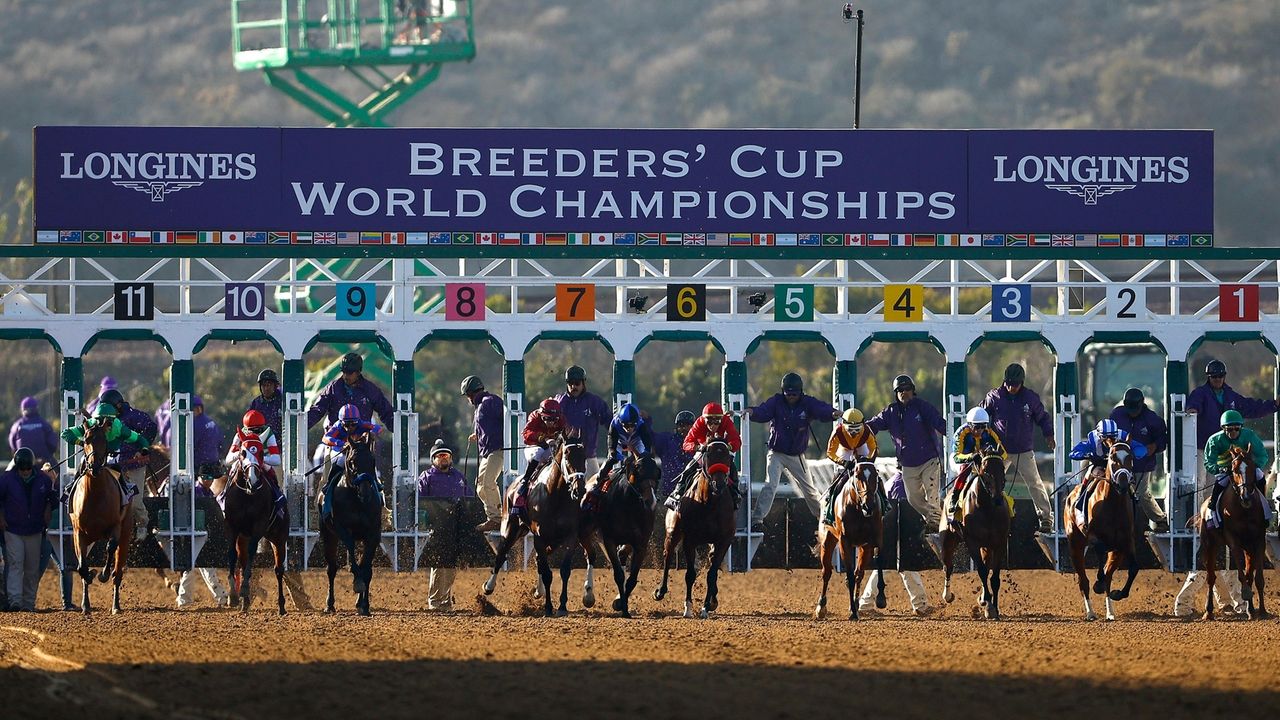 Breeders' Cup willing to return to Belmont pending improvements - Newsday