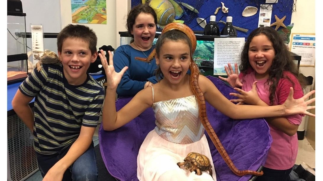 Classroom pets make learning a lot more lively - Newsday