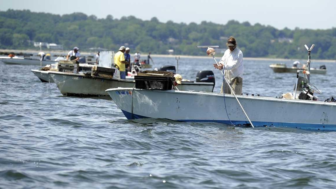 New law lets clammers combine catches - Newsday