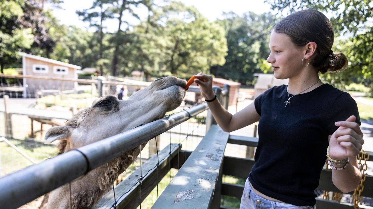 What's new at the Long Island Game Farm and aquarium for summer 2024 ...