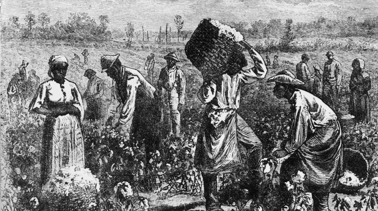 A revisionist narrative of slavery - Newsday