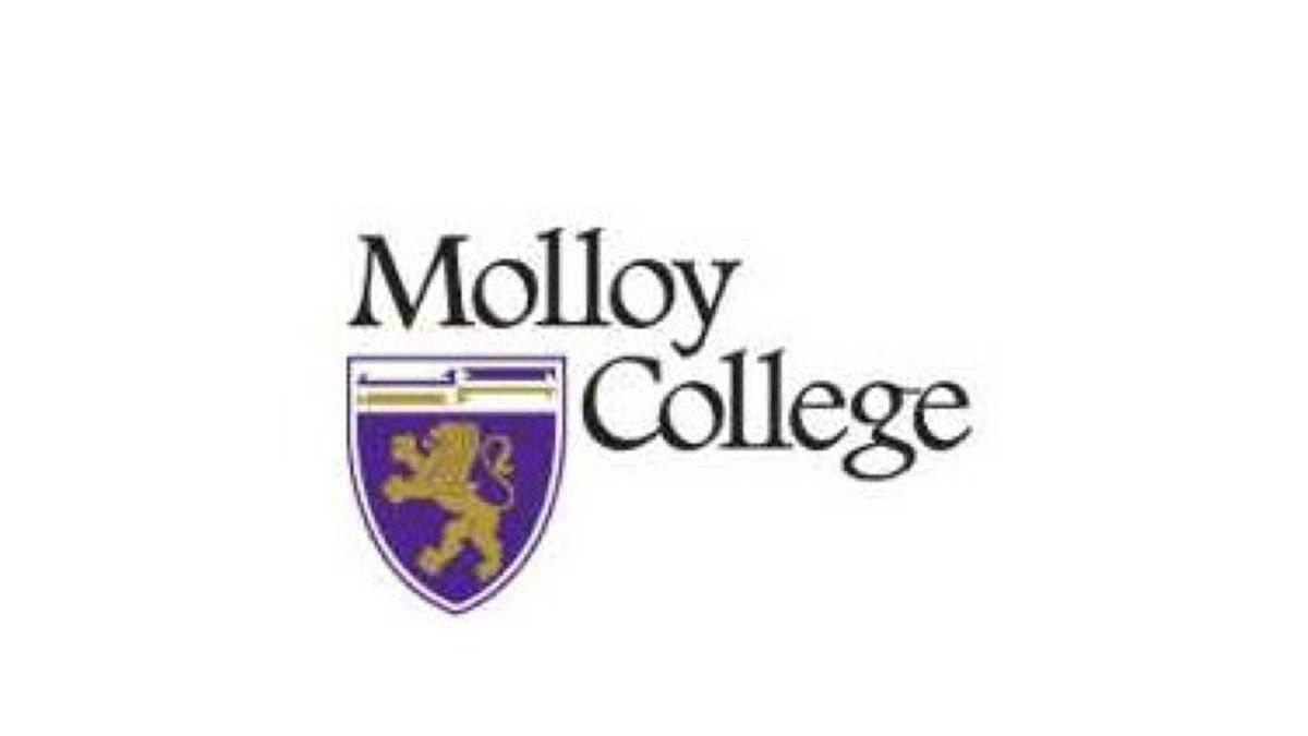 Molloy to upgrade village athletic fields - Newsday