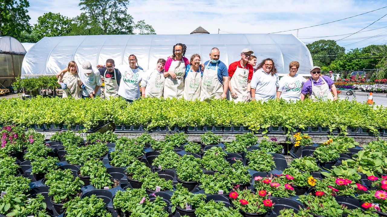 Smile Farms gives adults with disabilities a sense of purpose - Newsday