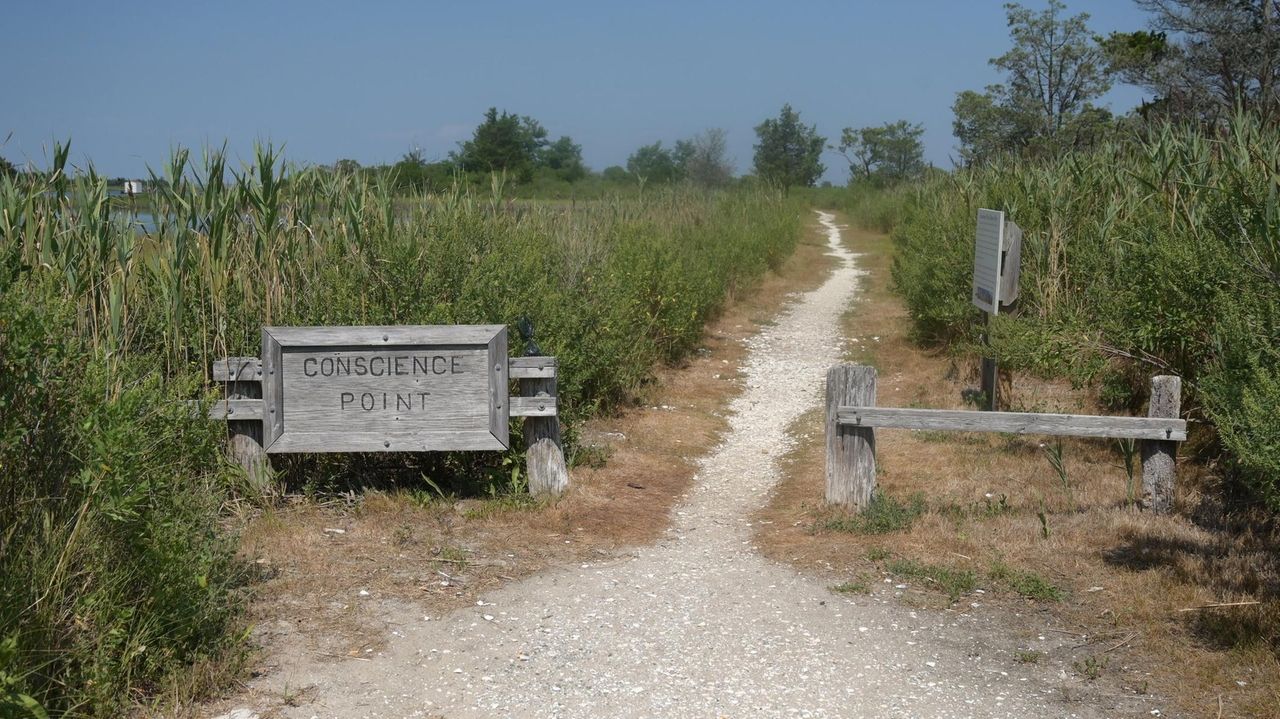 Southampton museum says town took parts of Conscience Point - Newsday
