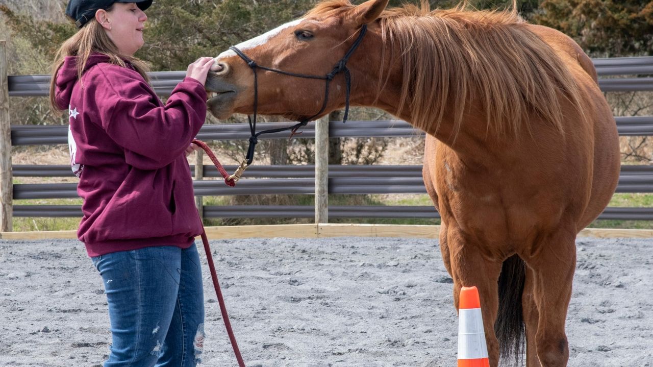 Warrior Ranch horse therapy helps veterans, first responders - Newsday