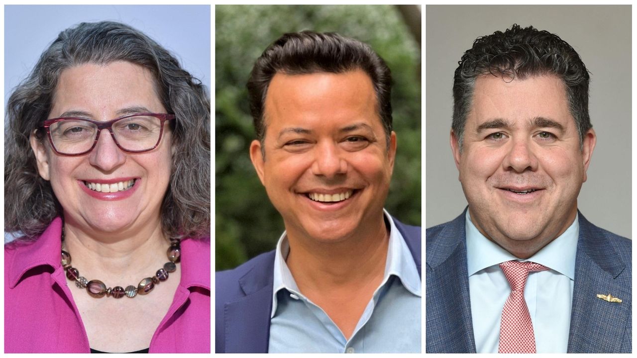 Dems would love to 'swing' a win in Suffolk's CD1 - Newsday