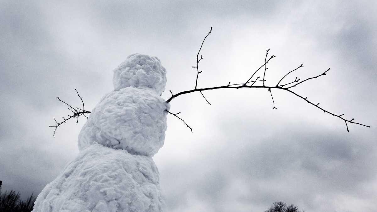 Scandinavian chills: The 'Snowman' cometh - Newsday