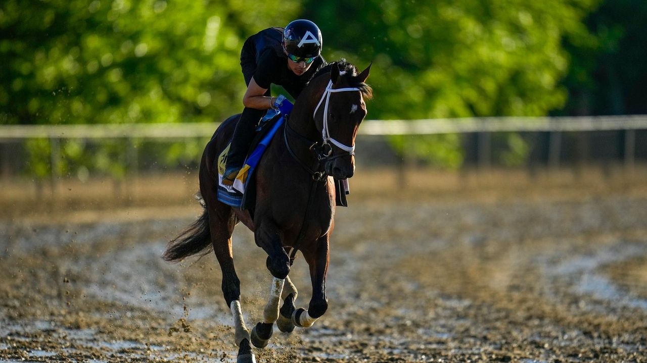 Catching Freedom shows why it was an 'easy decision' to enter him in ...