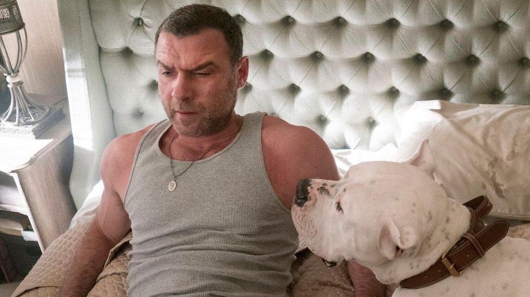 ‘Ray Donovan’ Season 4 review: Ray needs to heal body, soul - Newsday