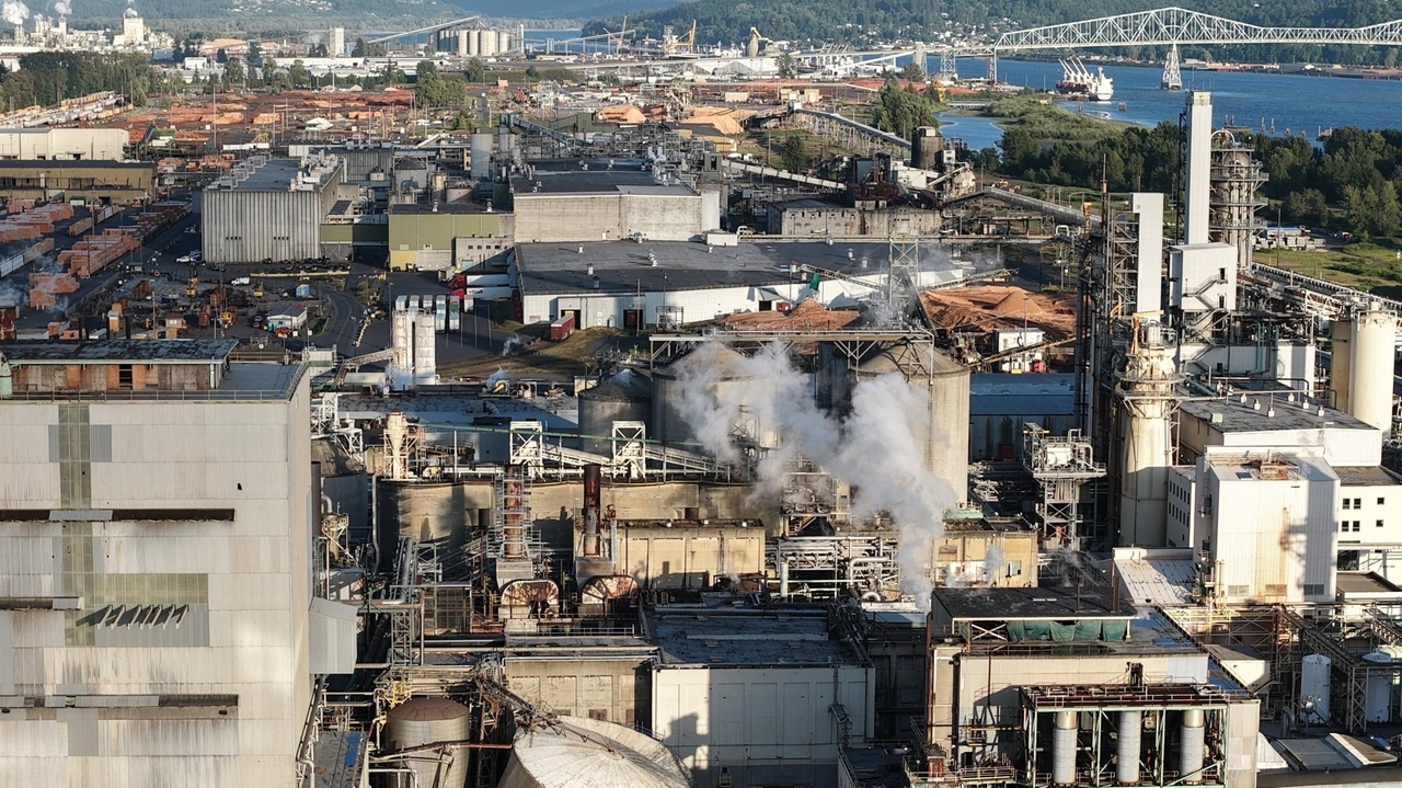 9 missing after Washington paper mill tank implosion and officials say ...