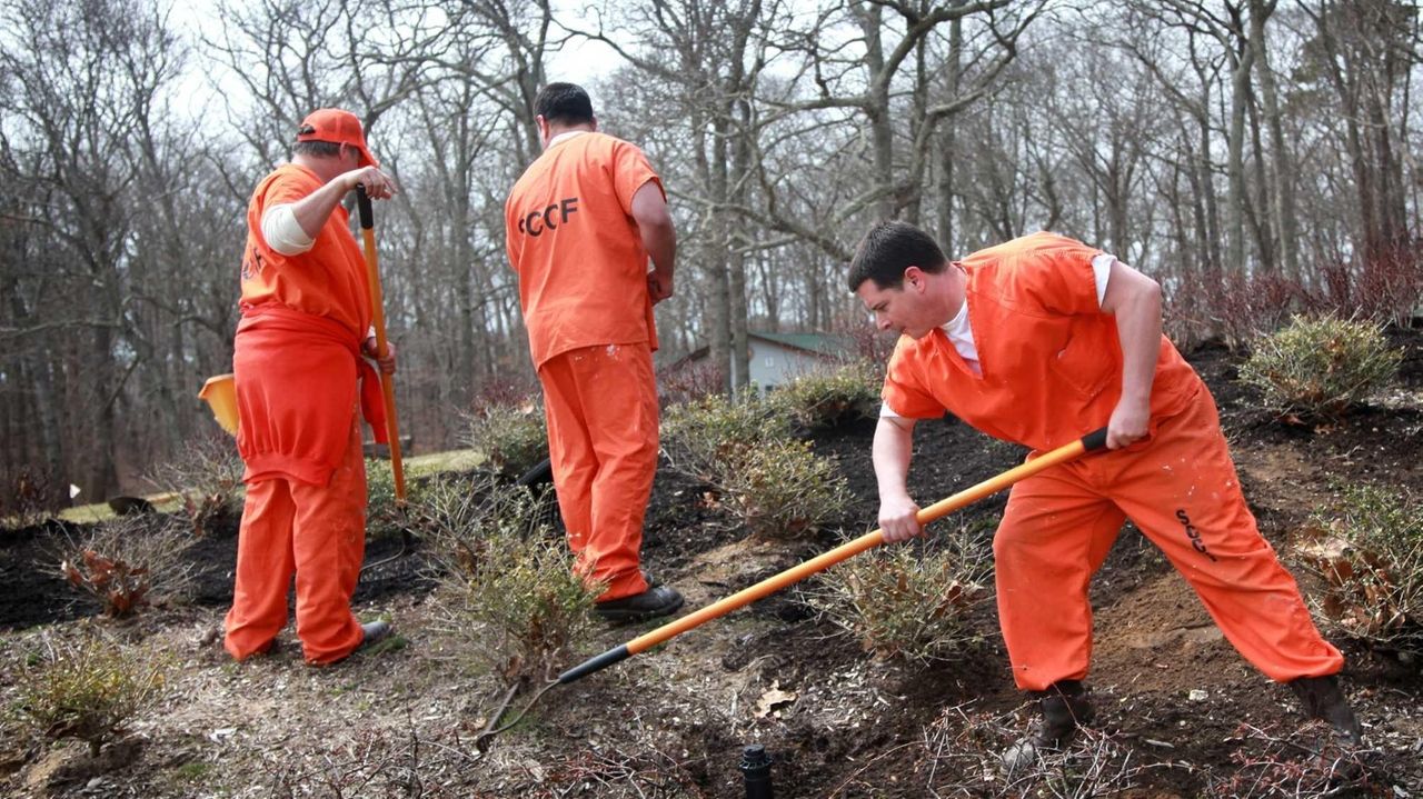 Suffolk County lets low-risk inmates work outside - Newsday