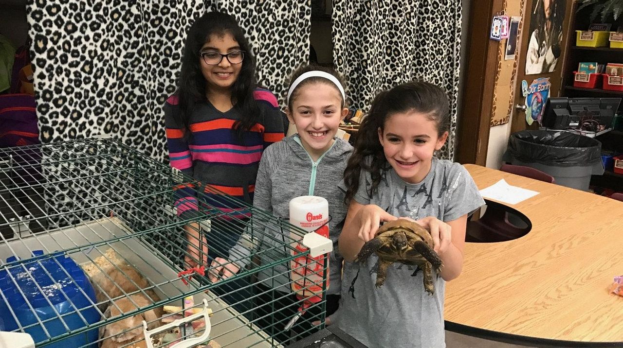 Our class pets: bird, bunnies, reptiles and more - Newsday