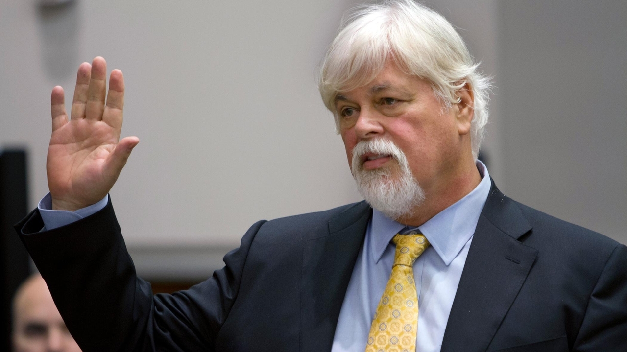 Japan asks Denmark to extradite activist Paul Watson, accused of ...