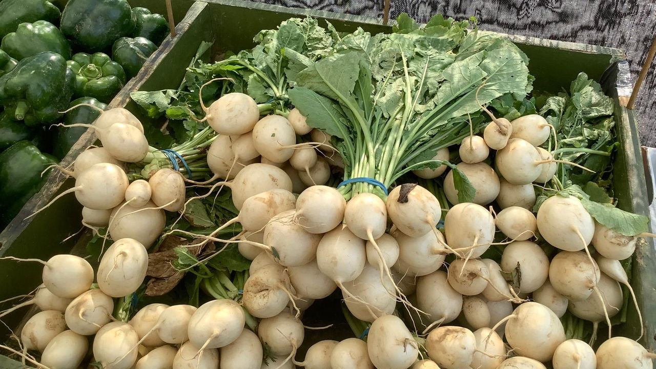 Celery root, ratatouille and me - Newsday