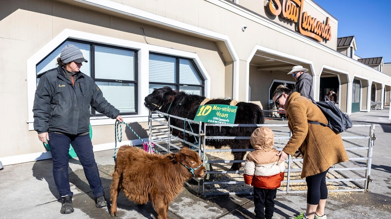 Stew Leonard's celebrates 10 years on Long Island - Newsday