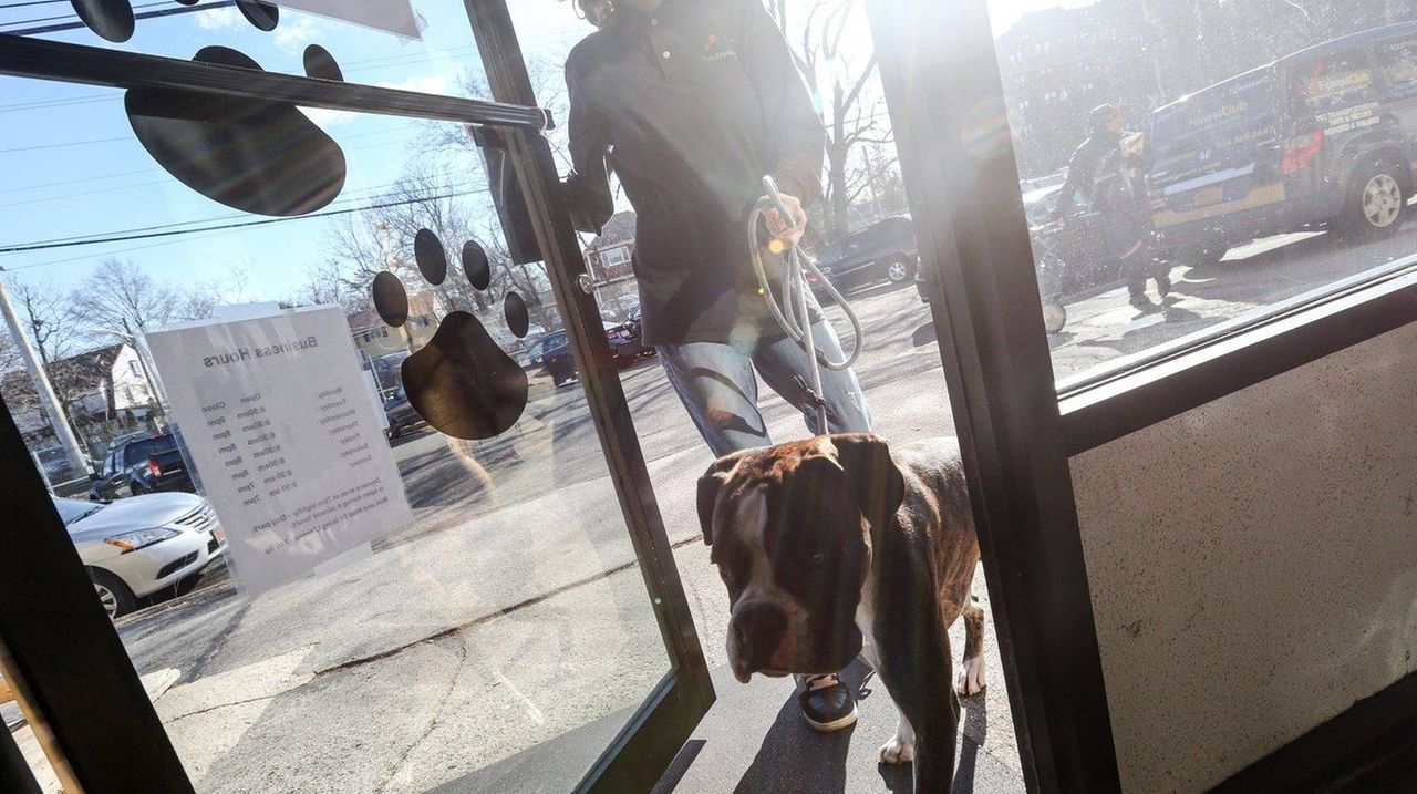 Edward Mangano’s budget would hike small business license fees - Newsday