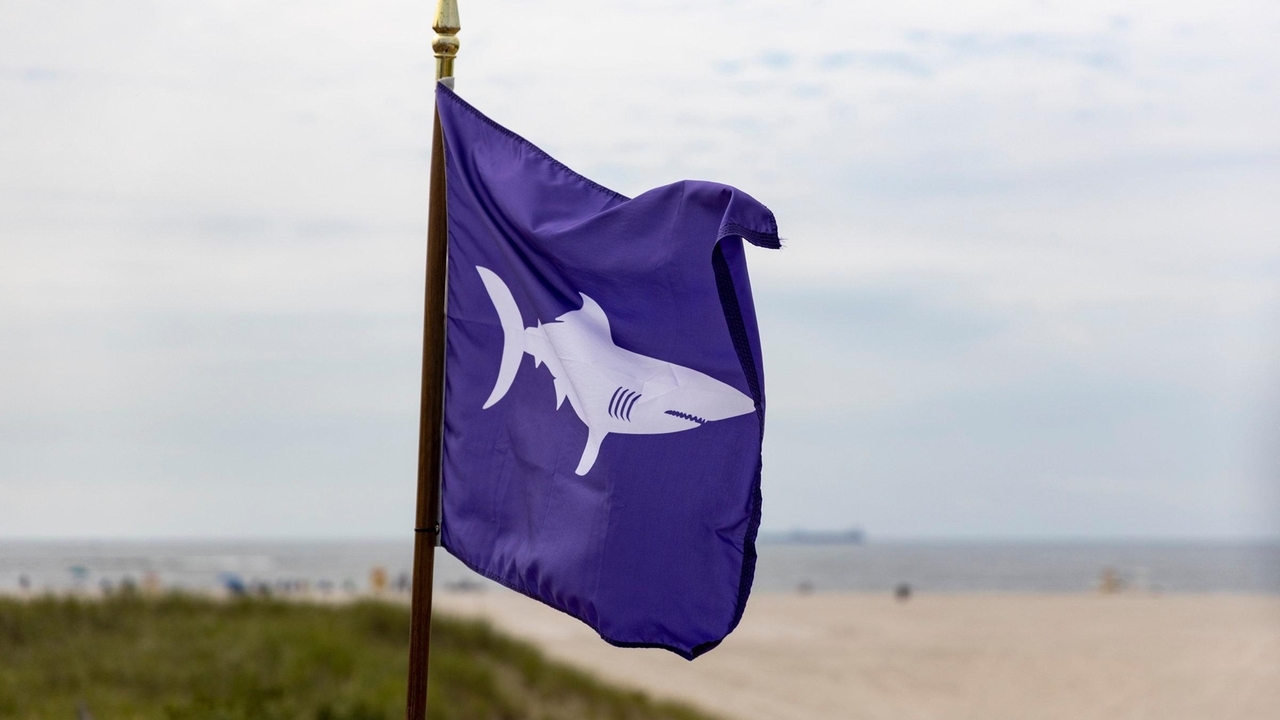 NY announces enhanced shark patrols for LI state park beaches - Newsday