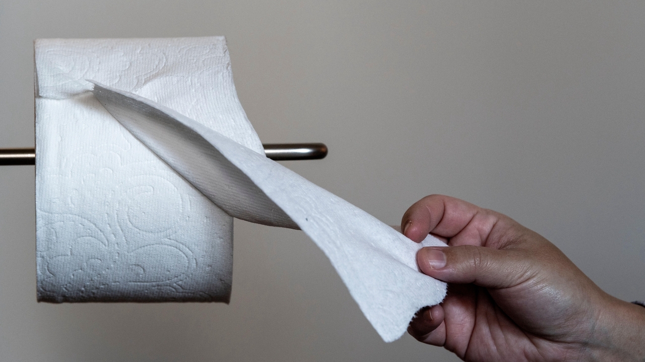 Eco-friendly toilet papers are trendy, but their actual environmental ...