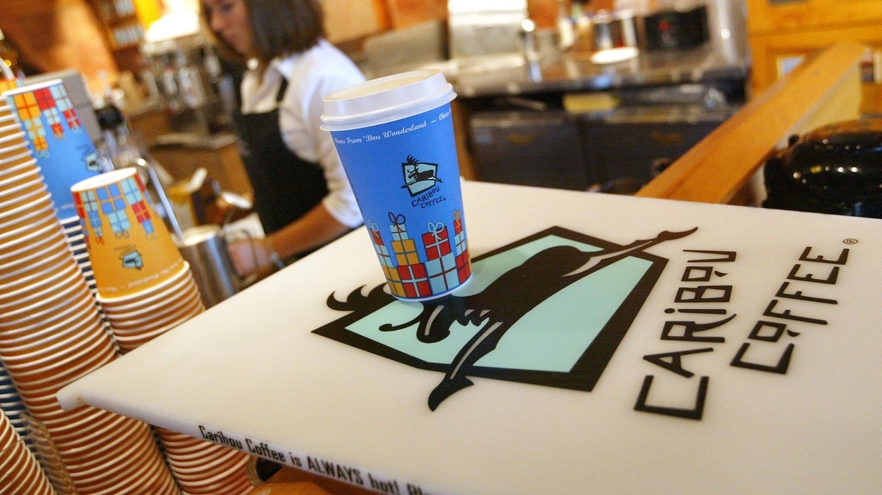 Caribou coffee eyes Long Island in New York expansion - Newsday