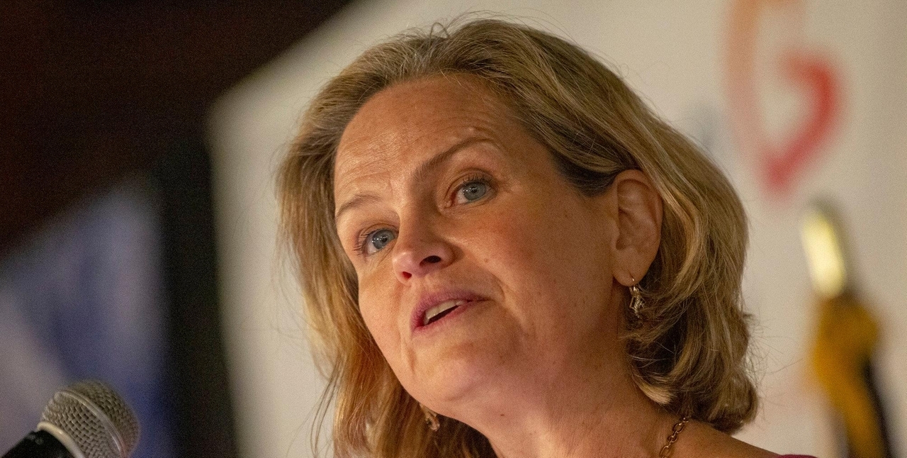 Laura Curran schedules 57 assessment meetings - Newsday