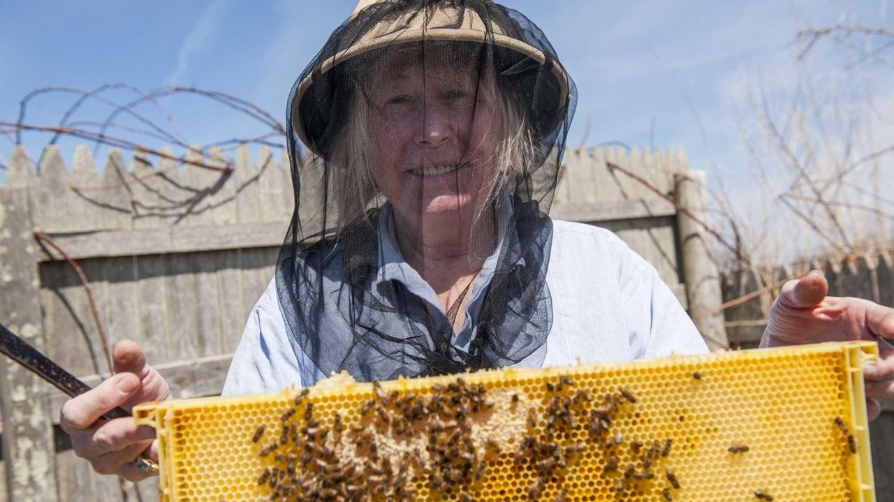 Beekeeper has honey of a deal with East End farmers - Newsday
