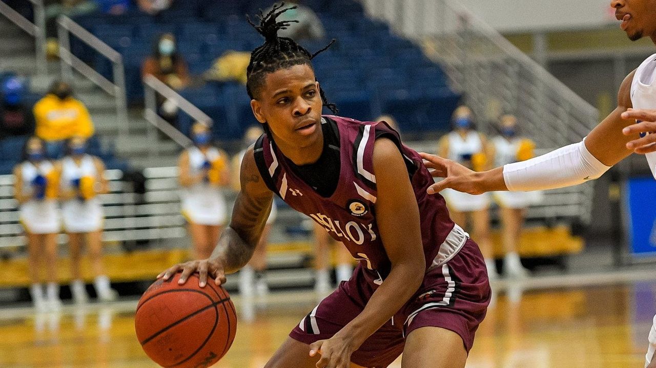 Several LIers earn all-Met Div. II basketball honors - Newsday